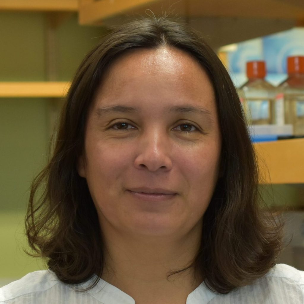 Team – Concepcion Lab